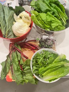 Herb Gumbo: Historical, Traditional, and Ambrosial – digital Humanities ...