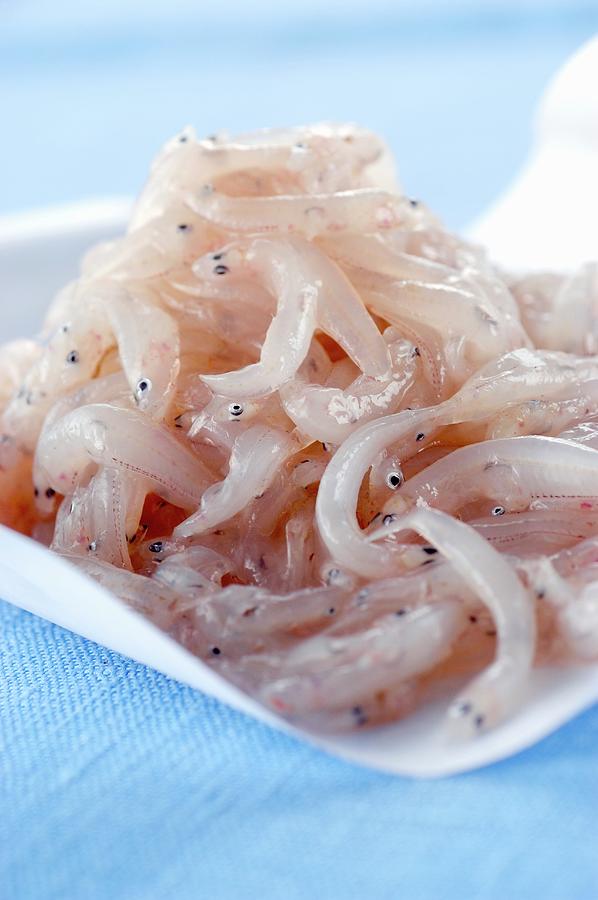 Whitebait a myth from the 16th Century? – digital Humanities studio